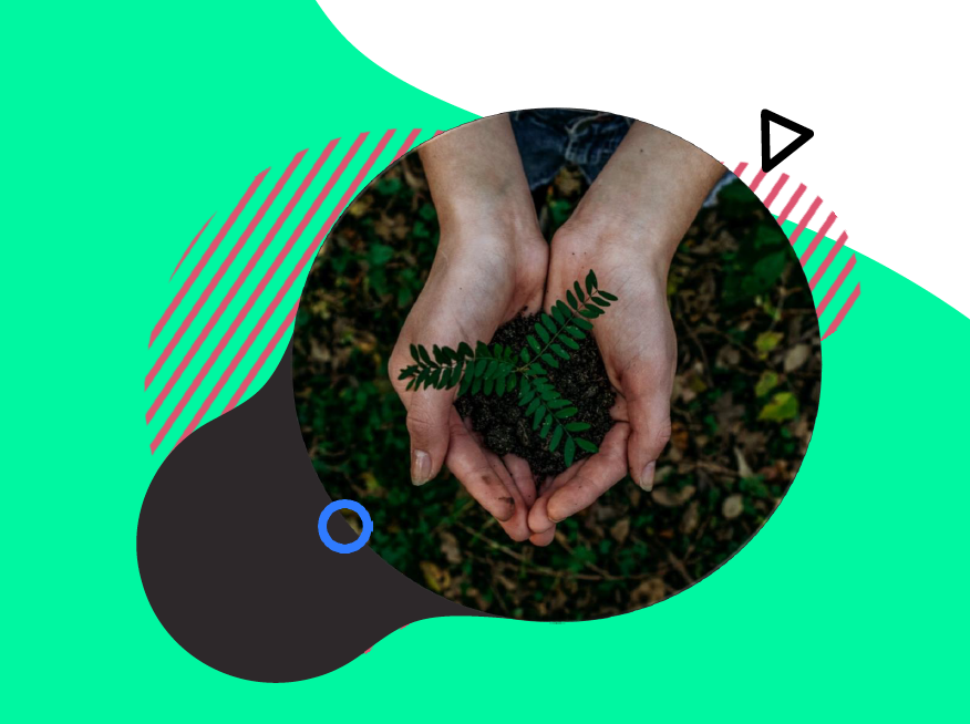 An Exploration Of Key Sustainability Trends